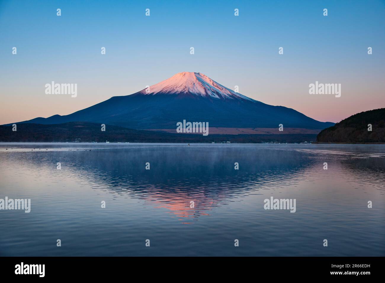 Mt Fuji at dawn Stock Photo - Alamy