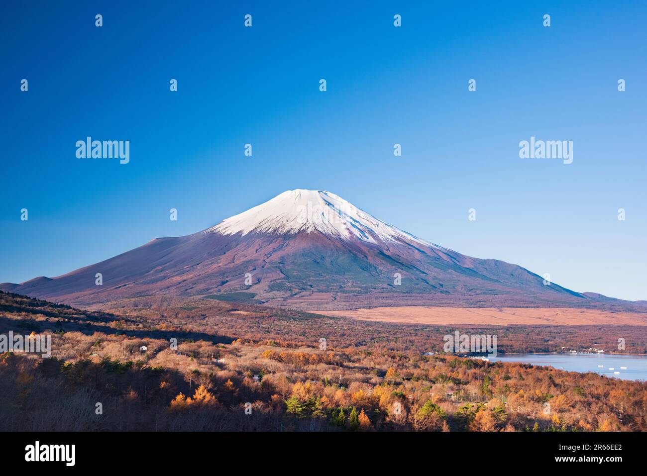 Mt. Fuji from Panorama-dai Stock Photo - Alamy