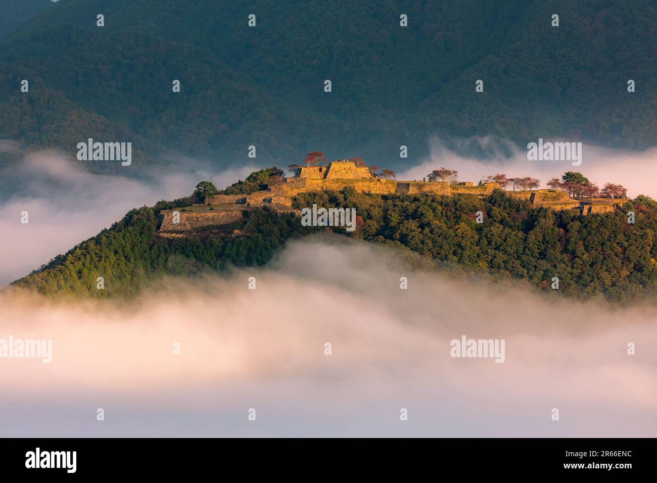 Sea of clouds and the ruins of Takeda Castle Stock Photo - Alamy