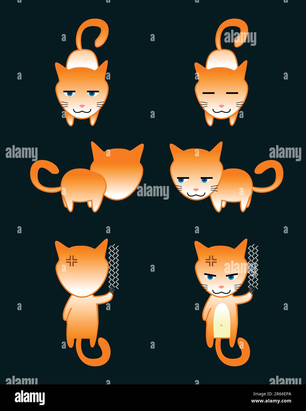 Stubborn animal hi-res stock photography and images - Alamy