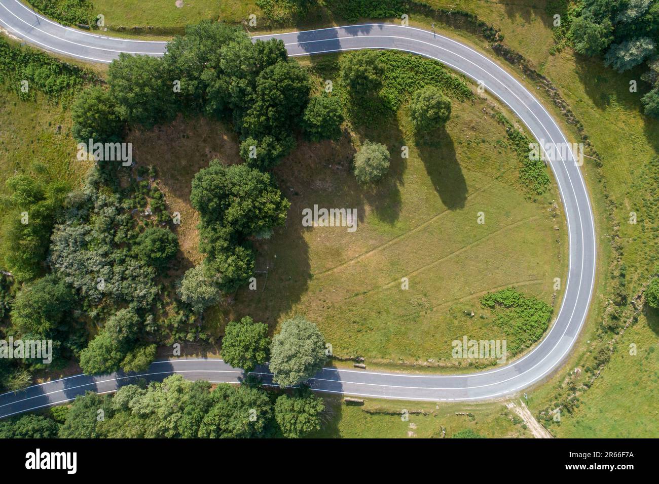 Aerial view summer forest curvy hi-res stock photography and images - Alamy