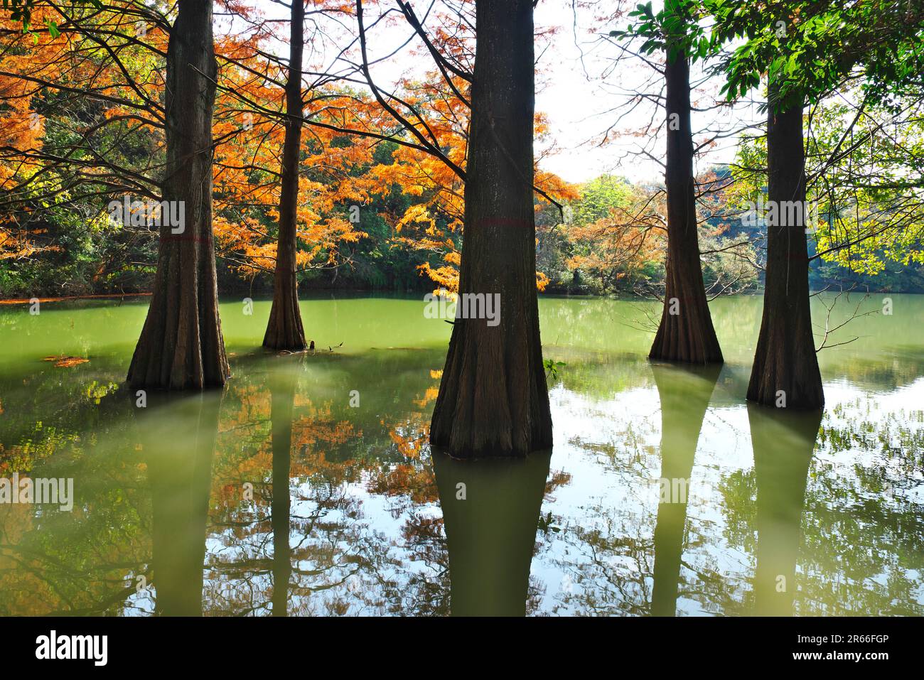 Sasaguri hi-res stock photography and images - Alamy