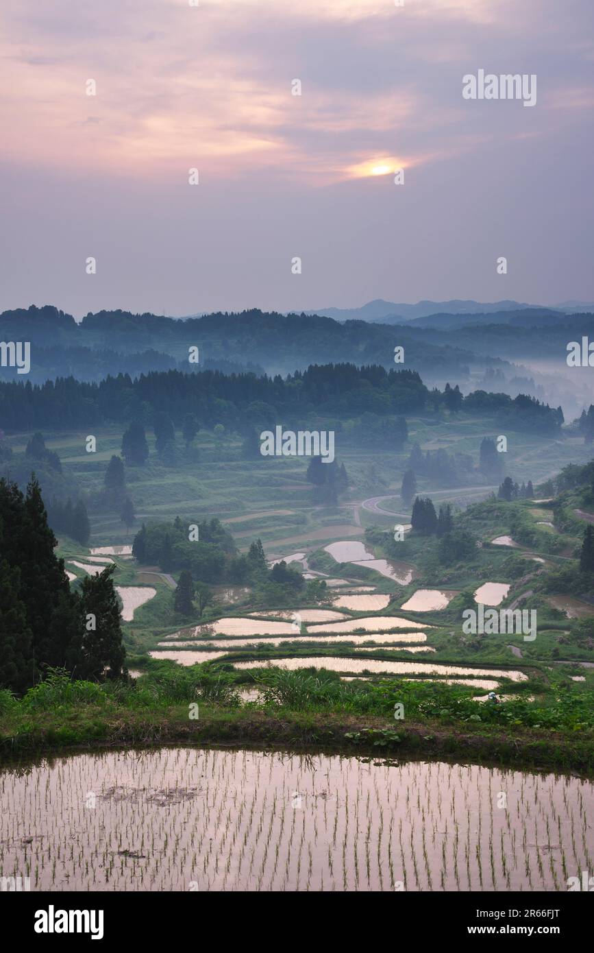 Rice terraces of star pass hi-res stock photography and images - Alamy