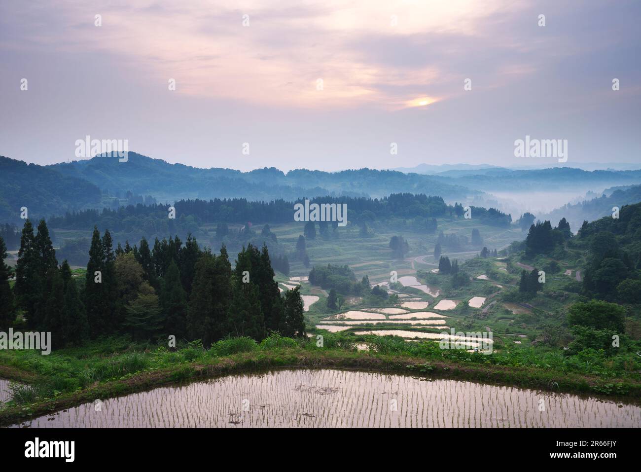 Rice terraces in japan hi-res stock photography and images - Alamy