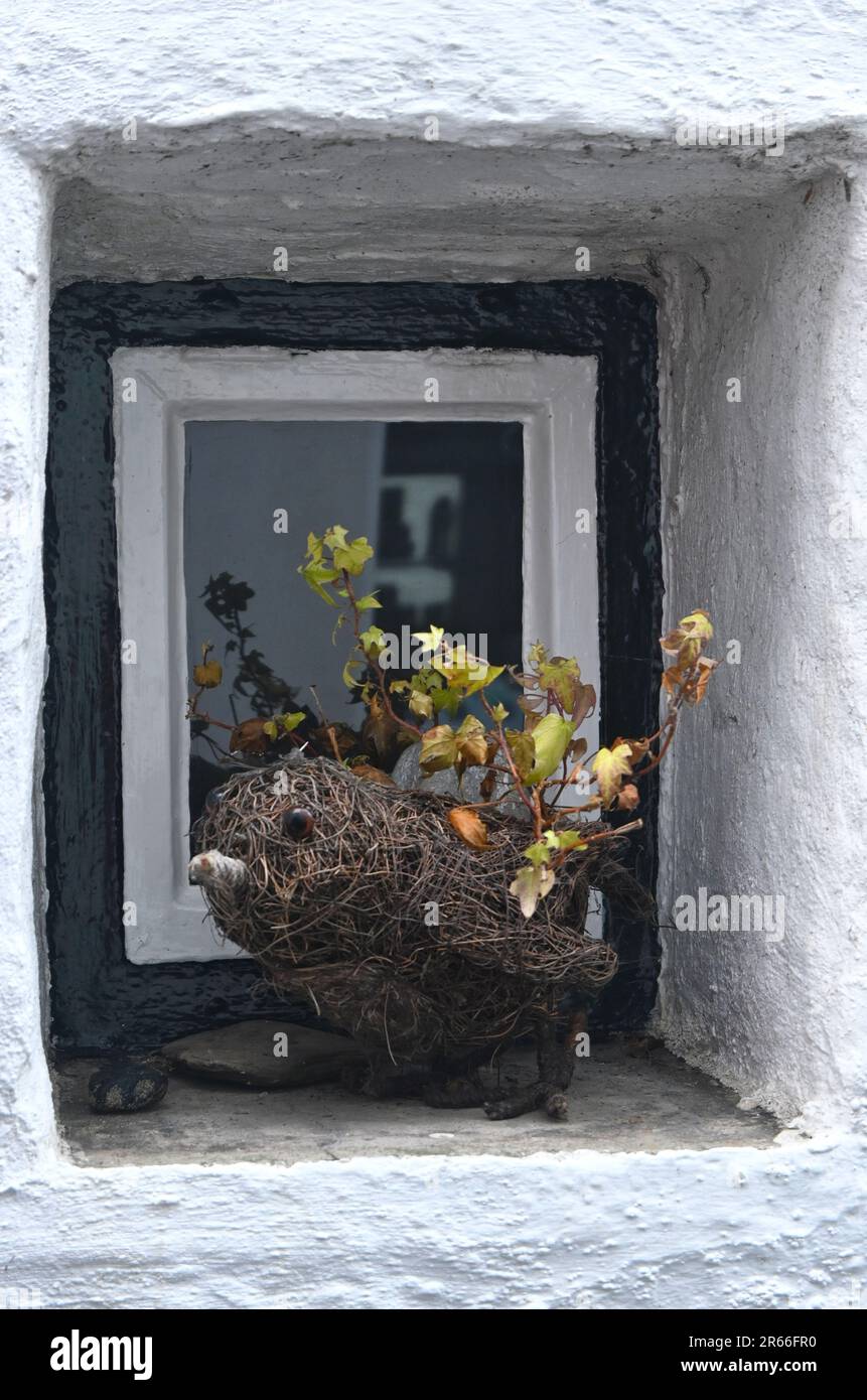 recessed window in thick cottage wall, polperro, cornwall Stock Photo ...