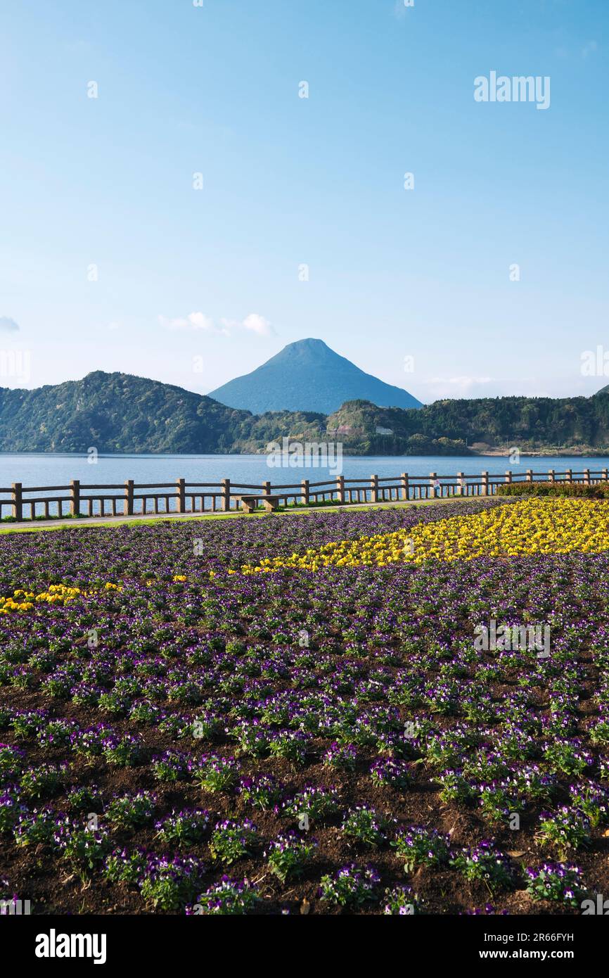 Lake Ikeda and Mount Kaimondake Stock Photo - Alamy