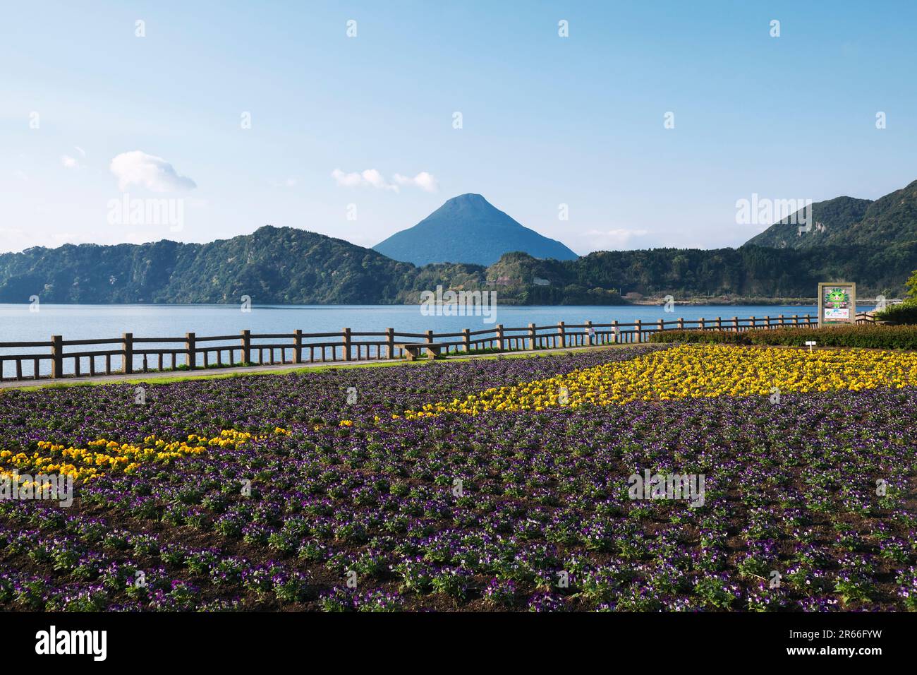Lake Ikeda and Mount Kaimondake Stock Photo - Alamy