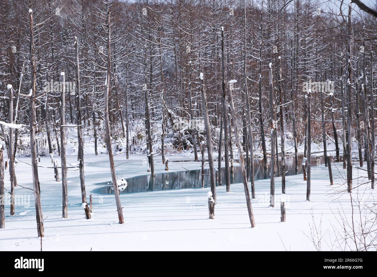 Winter of blue lake Stock Photo - Alamy