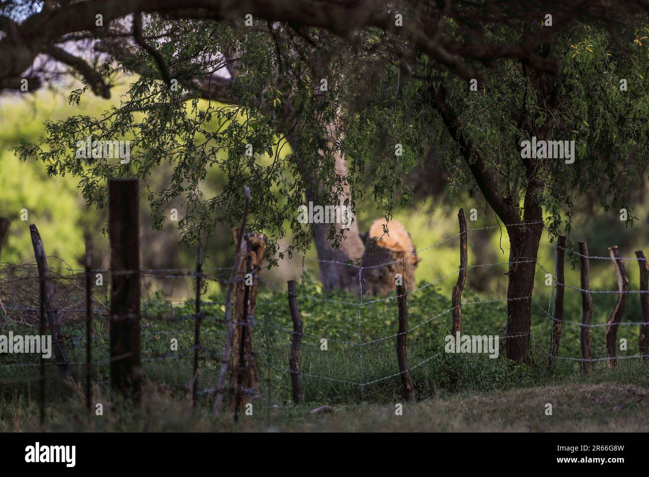 Comunidad ganadera hi-res stock photography and images - Alamy