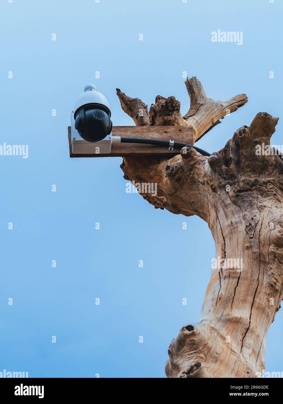 Closed circuit camera multi-angle CCTV system camera installed on dead ...