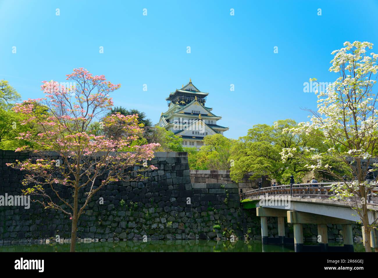 Osaka Castle Park in spring Stock Photo - Alamy