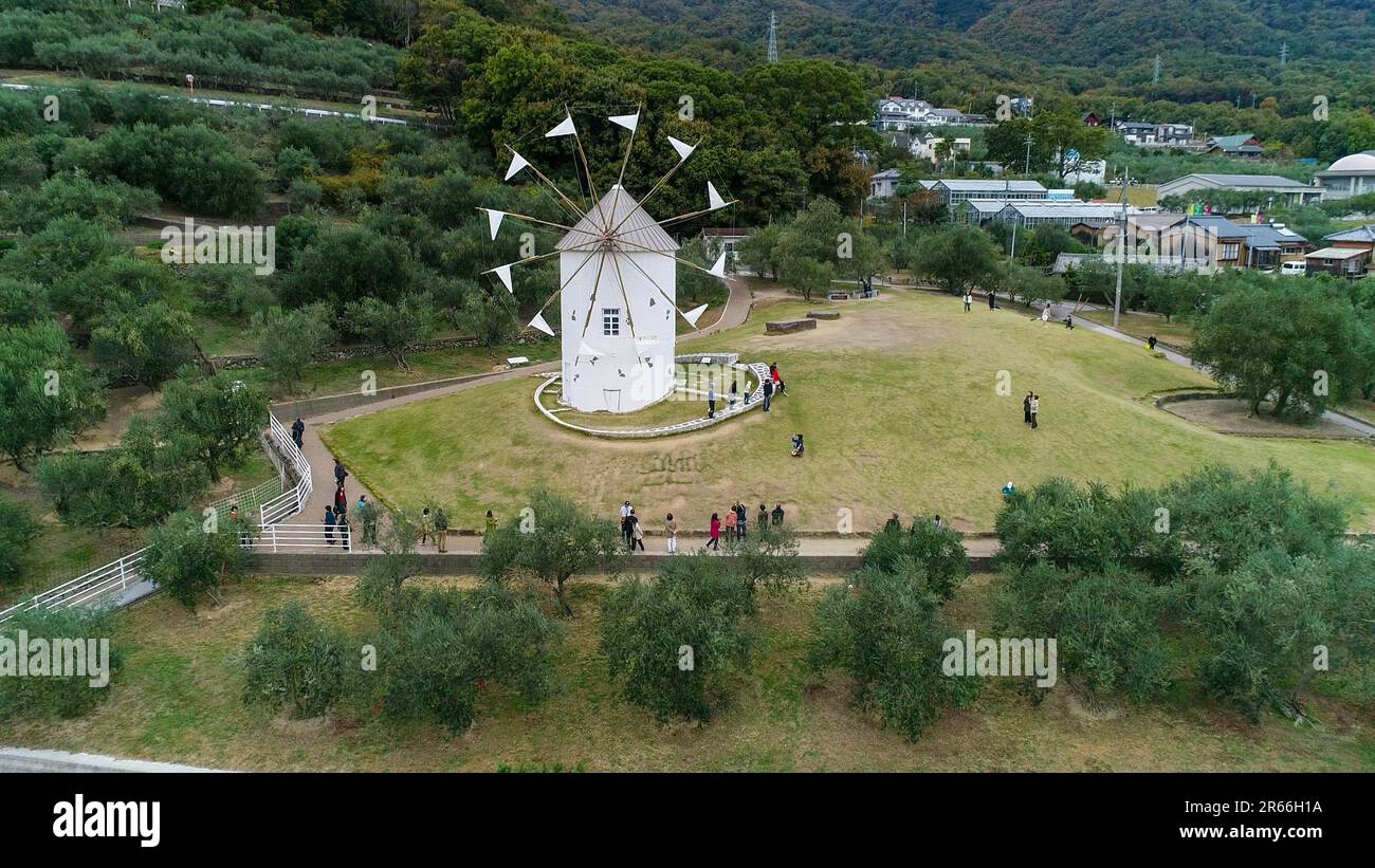 Shodoshima Island Olive Park Stock Photo - Alamy