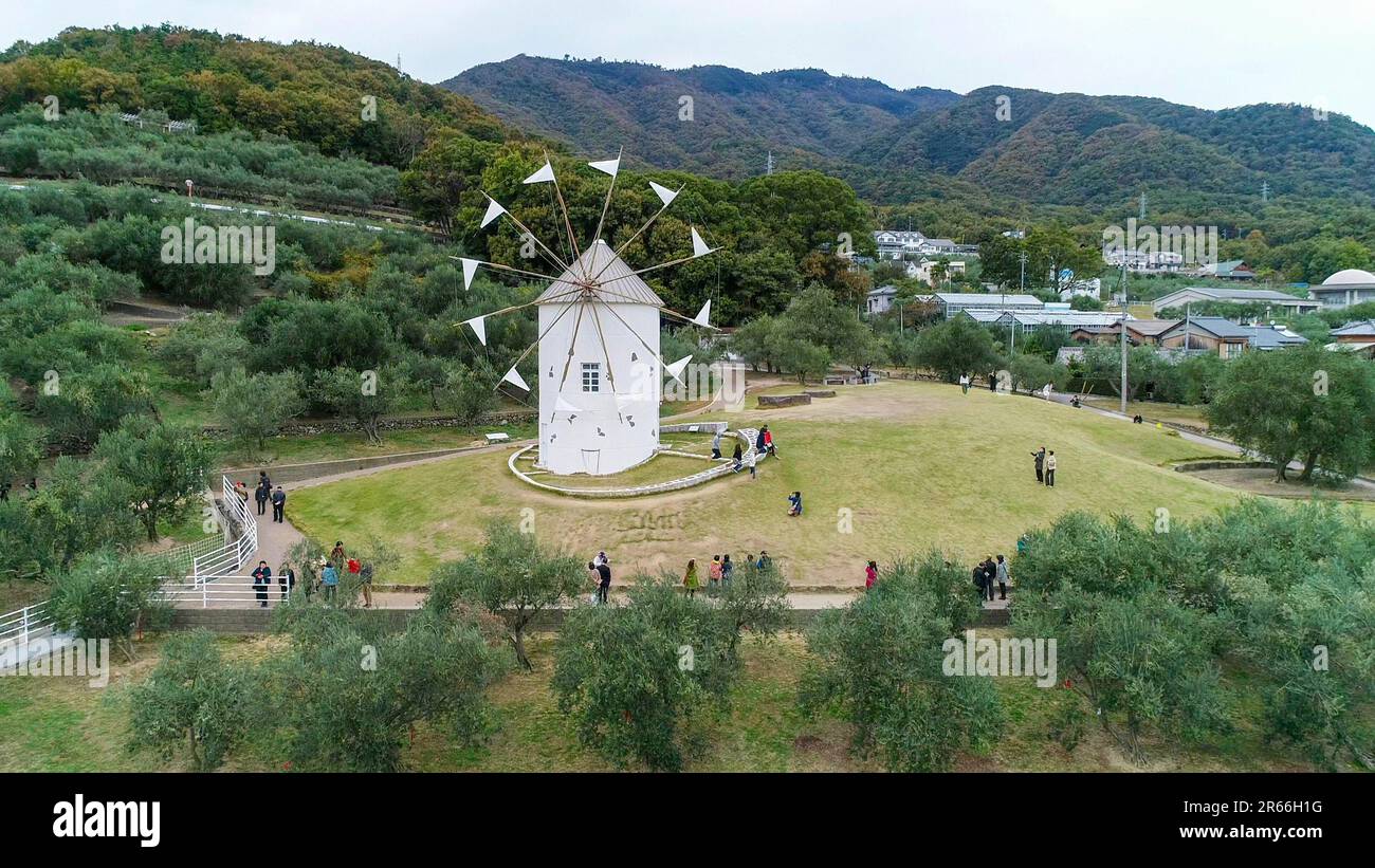 Shodoshima Island Olive Park Stock Photo - Alamy