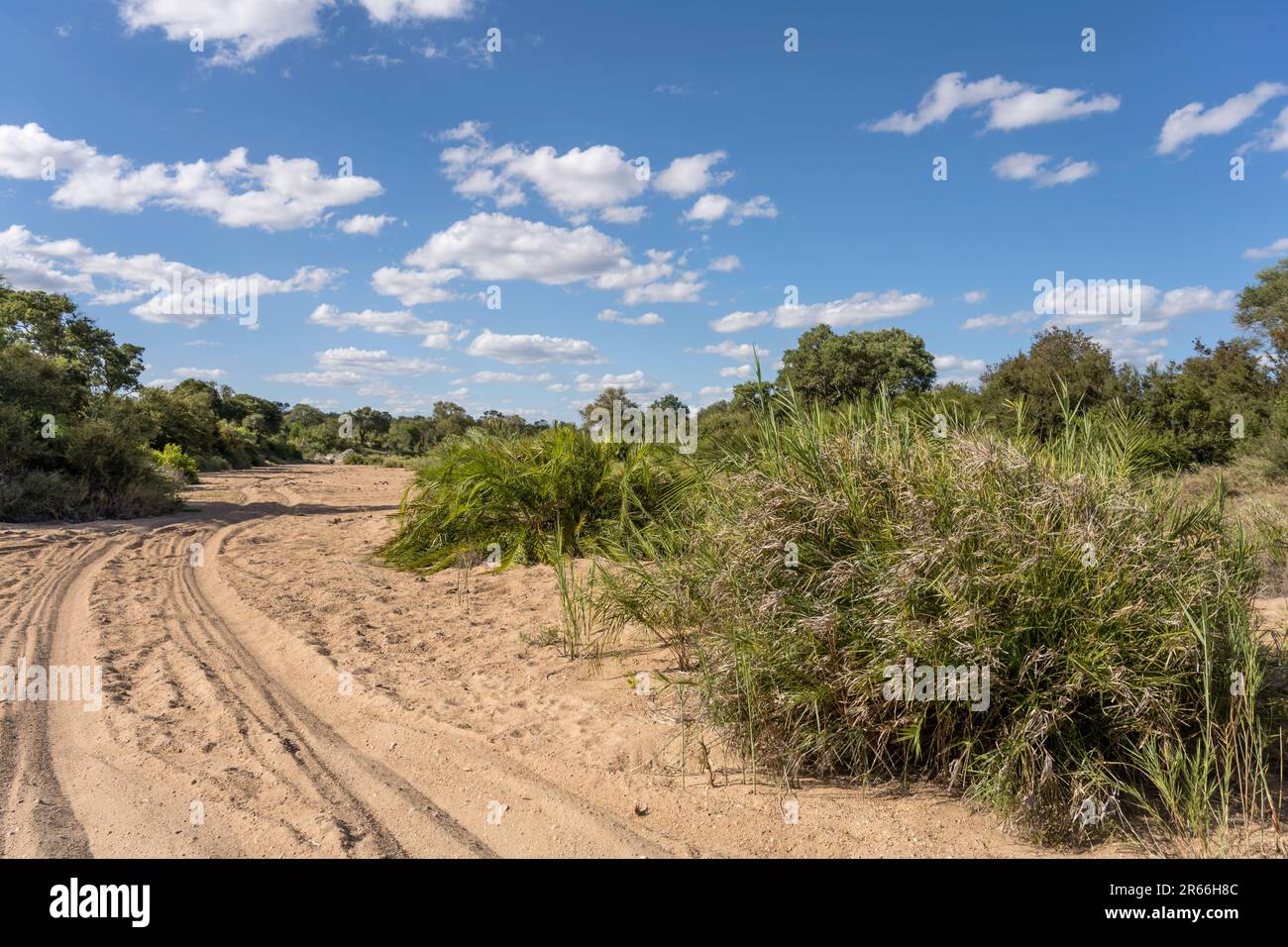 Lush african countryside hi-res stock photography and images - Alamy