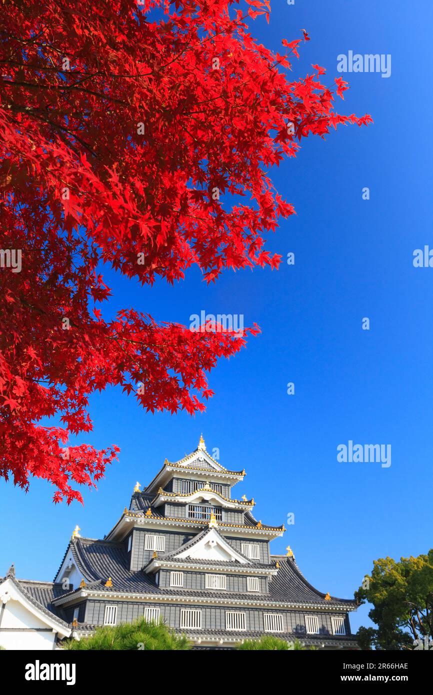 100 historical landscape of beautiful japan hi-res stock photography ...