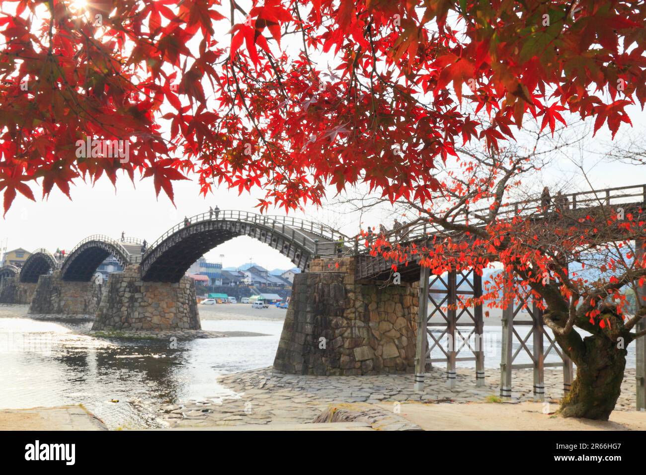 Kintai Bridge and Autumn Leaves Stock Photo - Alamy