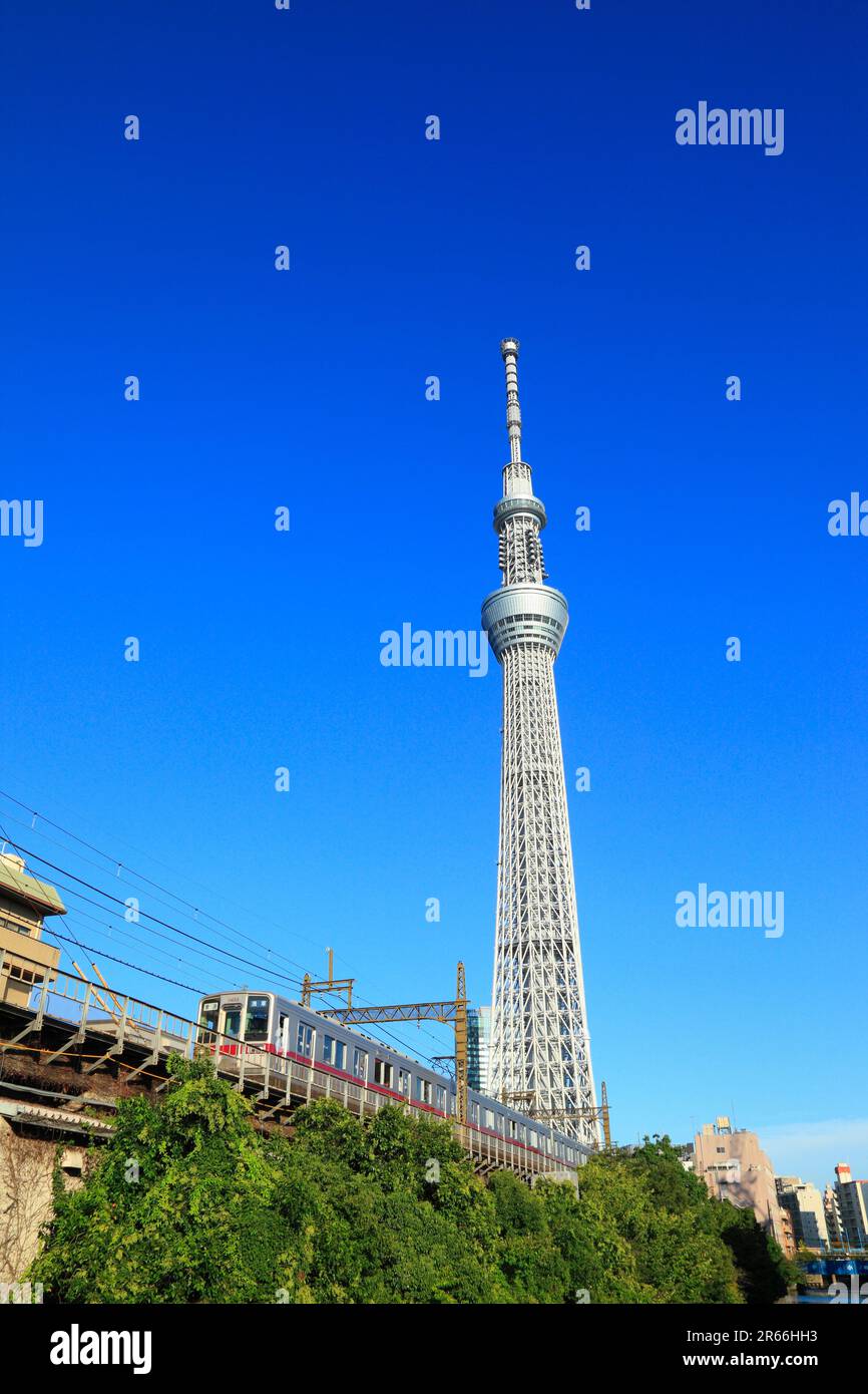 Tokyo Sky Tree and train Stock Photo - Alamy