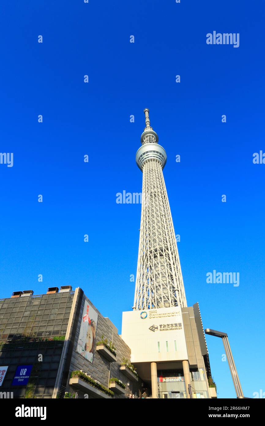 Tokyo skytree aquarium hi-res stock photography and images - Alamy