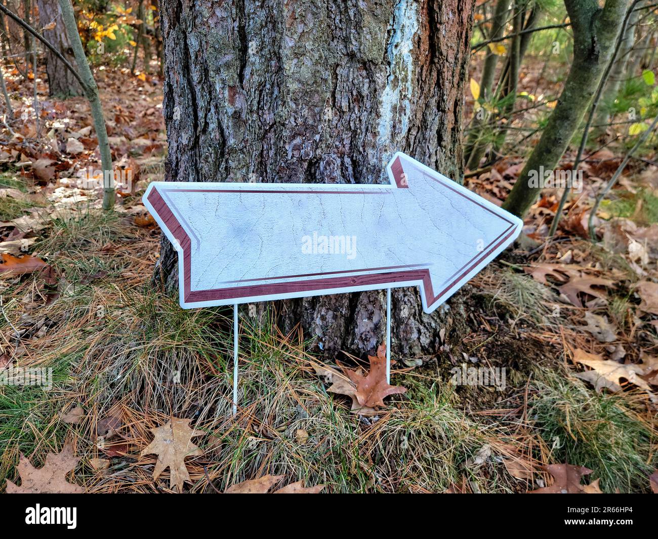 Ground stake arrow sign by tree trunk and leaves Stock Photo - Alamy