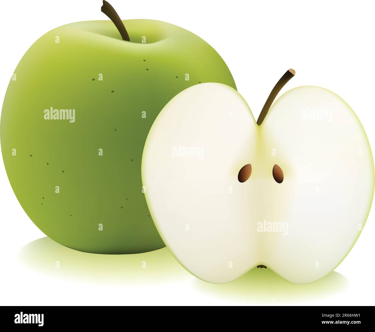 Sliced apples. Vector illustration Stock Vector Image & Art - Alamy