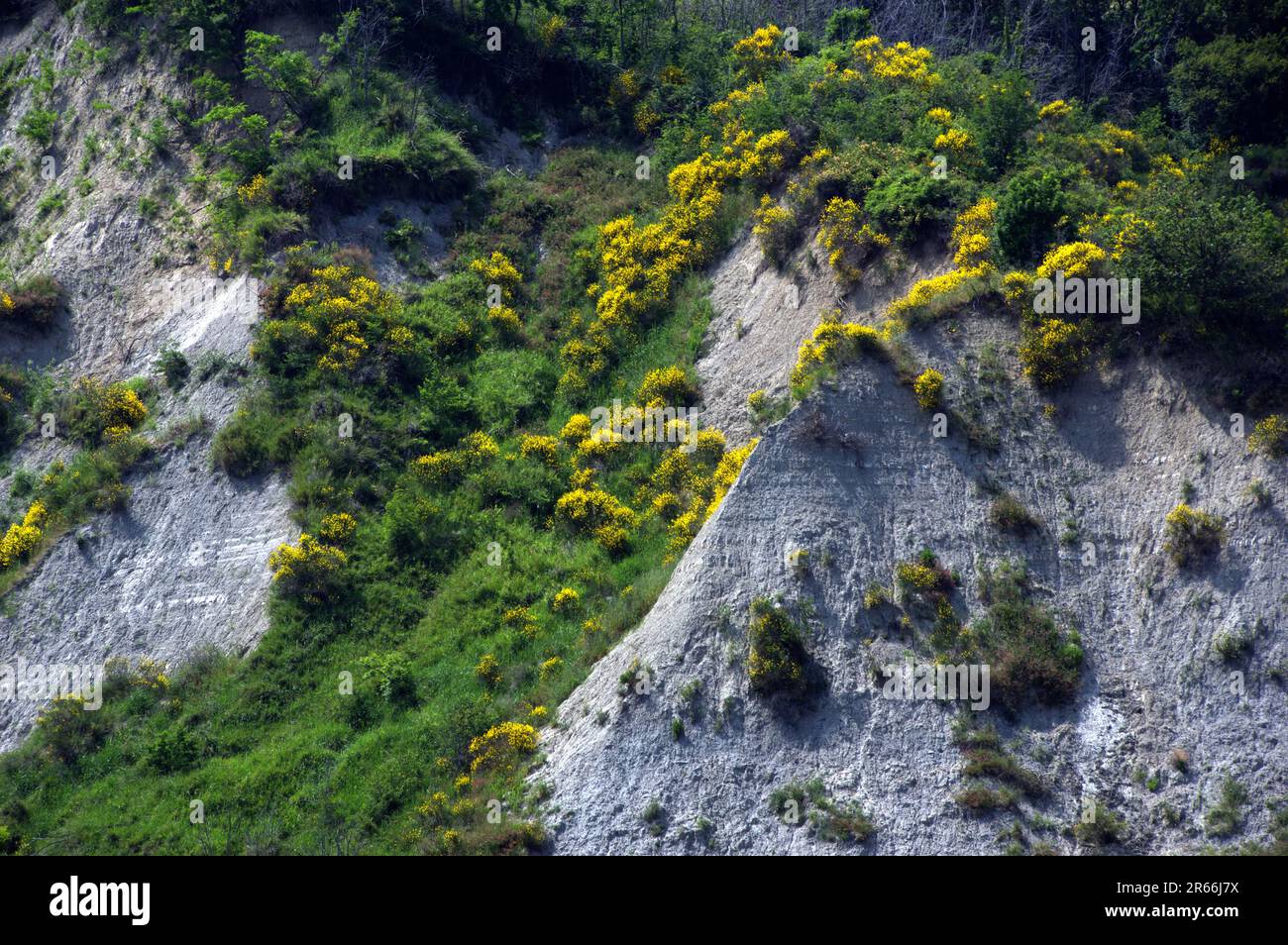 Persone e natura hi-res stock photography and images - Alamy