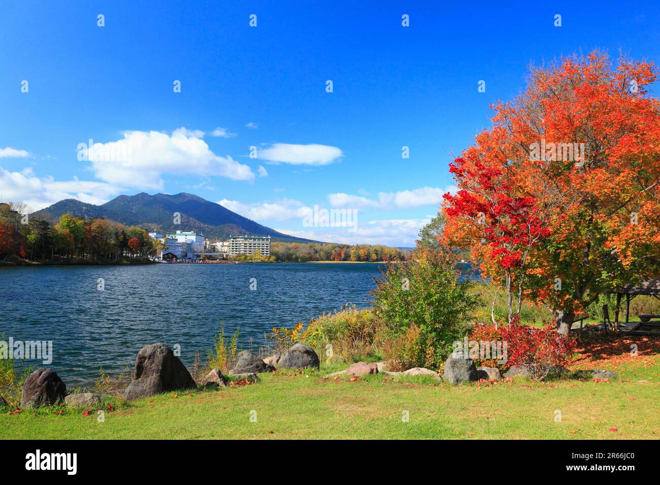 Autumn Foliage of Lake Akan Stock Photo - Alamy