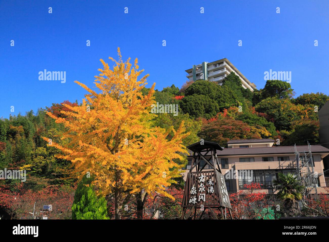 Autumn leaves in Arima Onsen Stock Photo - Alamy