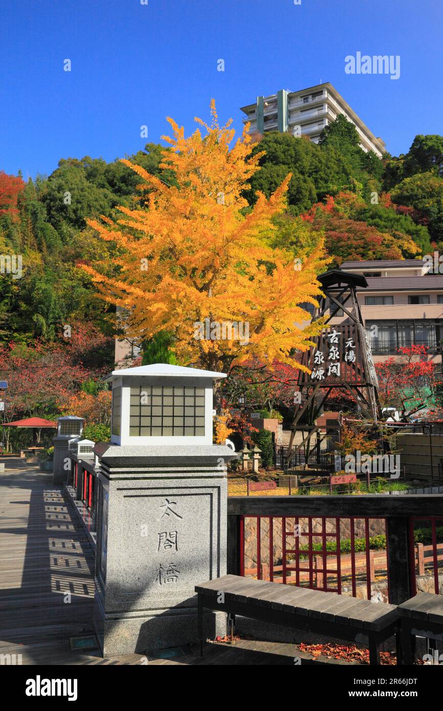 Autumn leaves in Arima Onsen Stock Photo - Alamy