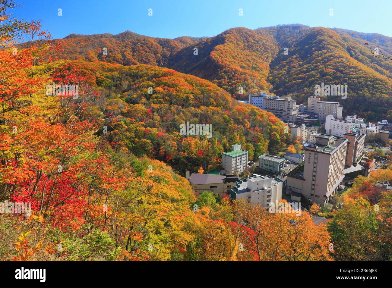 Autumn leaves in Noboribetsu Onsen Stock Photo - Alamy