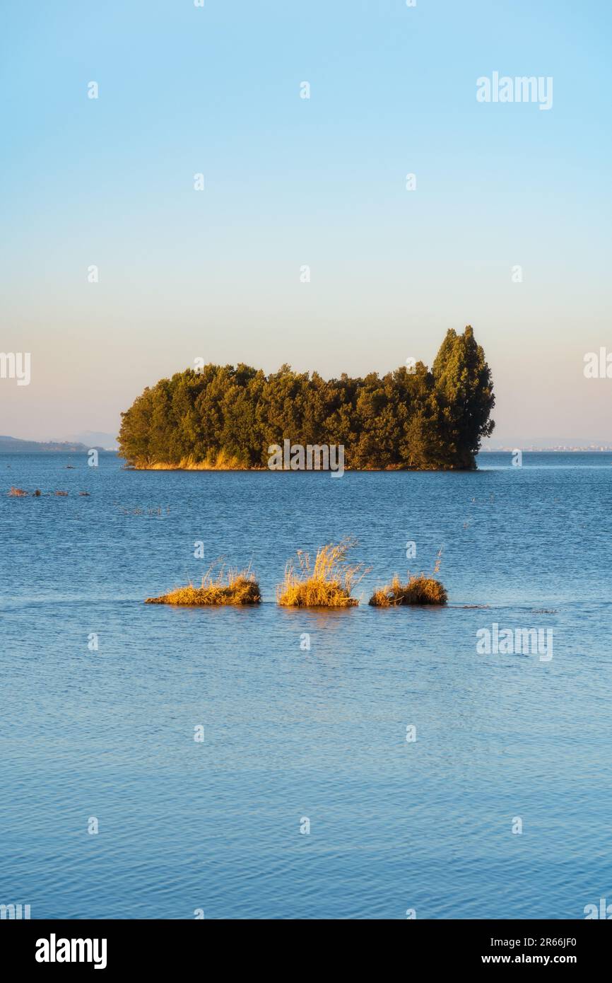 A tropical landscape with a small island featuring lush vegetation ...