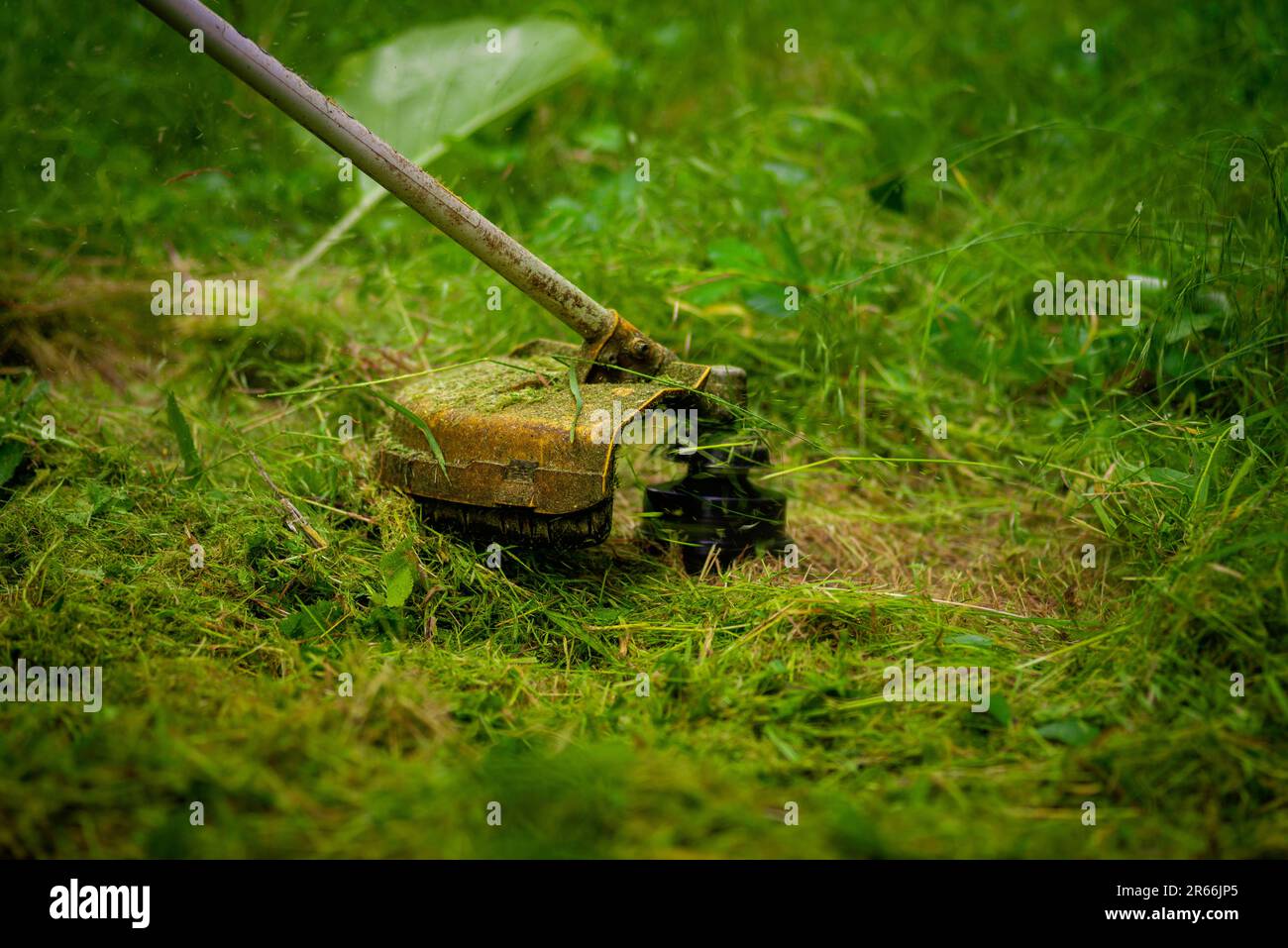 Caucasian Gardener working man Manual hand grass cutter Weed Cutter or ...