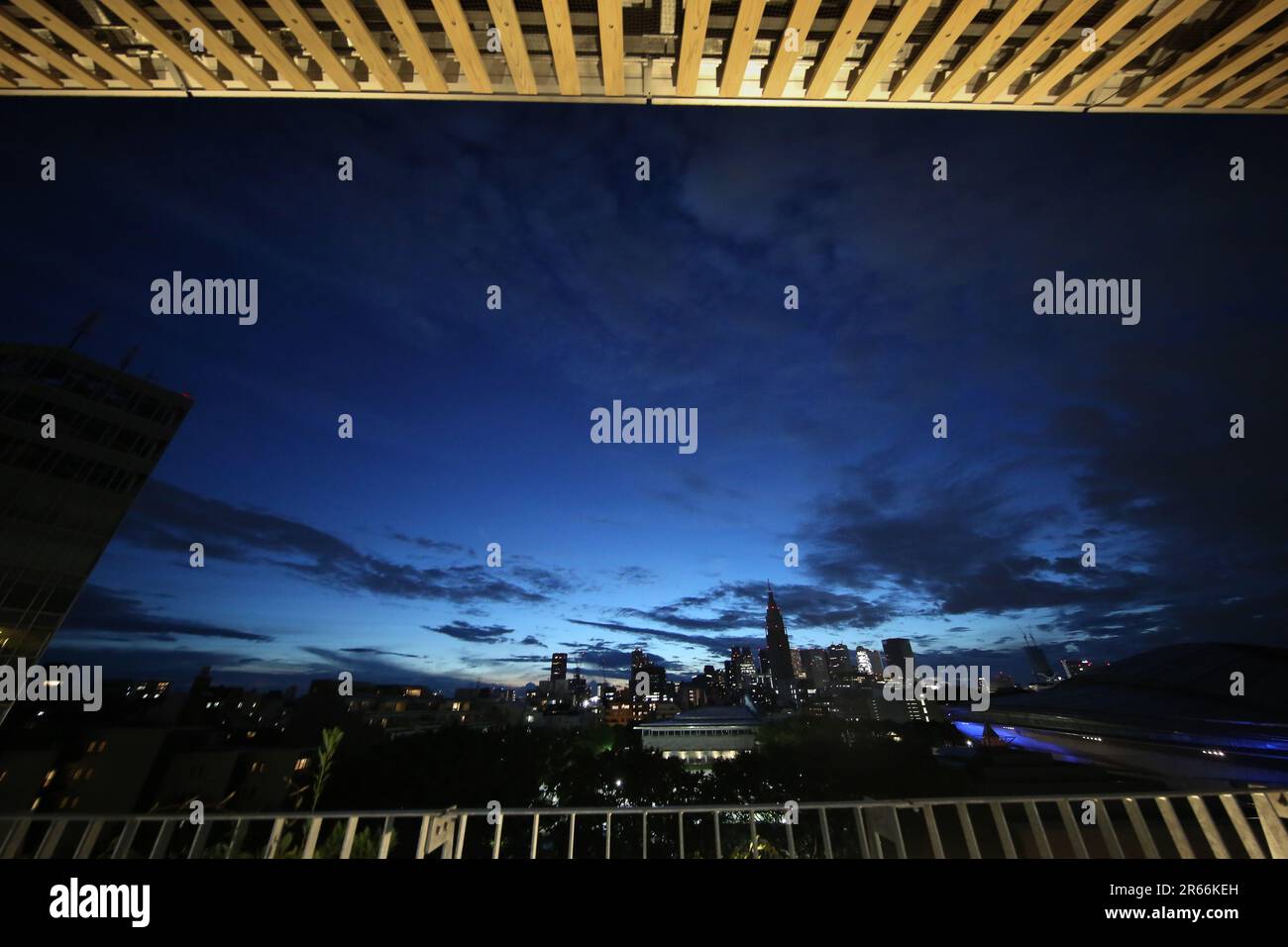 AUG 8, 2021 - Tokyo, Japan: View of the Tokyo Skyline from the Japan ...