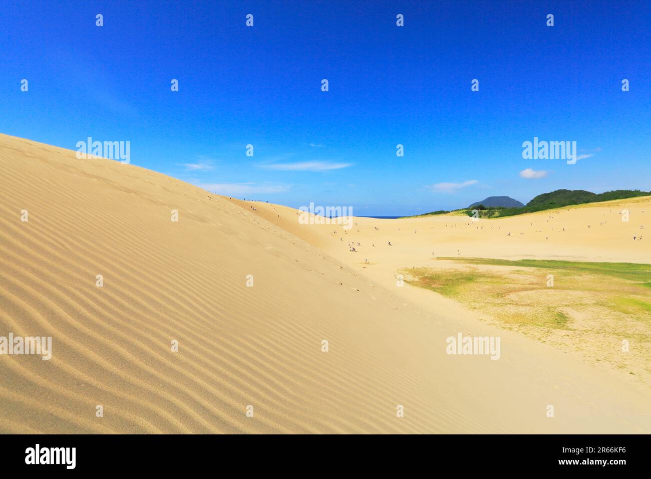 Tottori sand dunes Stock Photo - Alamy