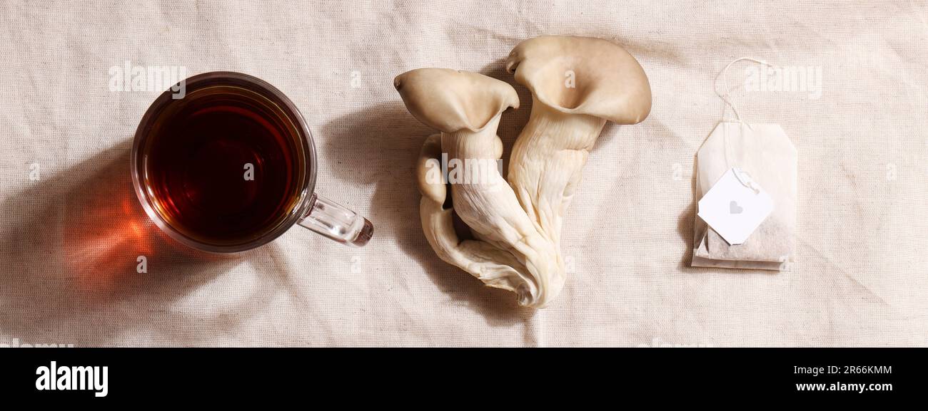Natural medicine, reduce stress and improve immunity concept. Mushroom ...