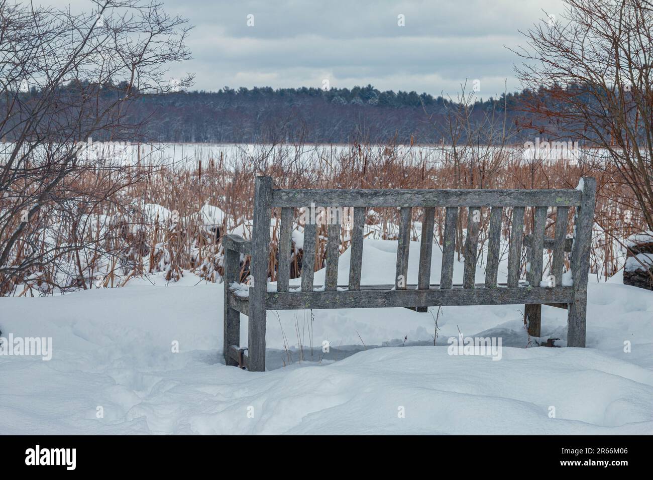 Trails in Great Meadows Wildlife Preserve in winter, Concord ...