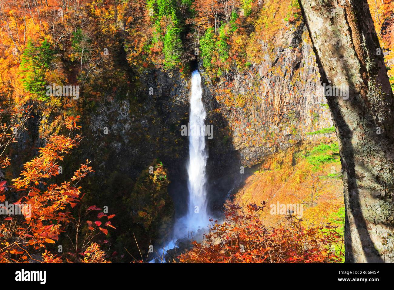 Shiramizunotaki hi-res stock photography and images - Alamy