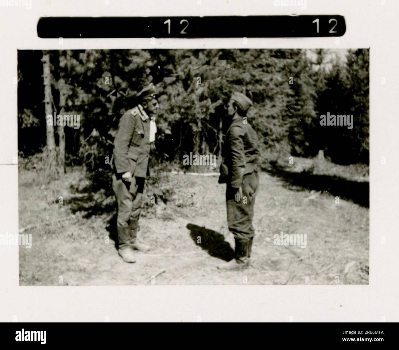 SS Photographer Blaurock, France, Finland 1942-44 SS Soldier portrait ...