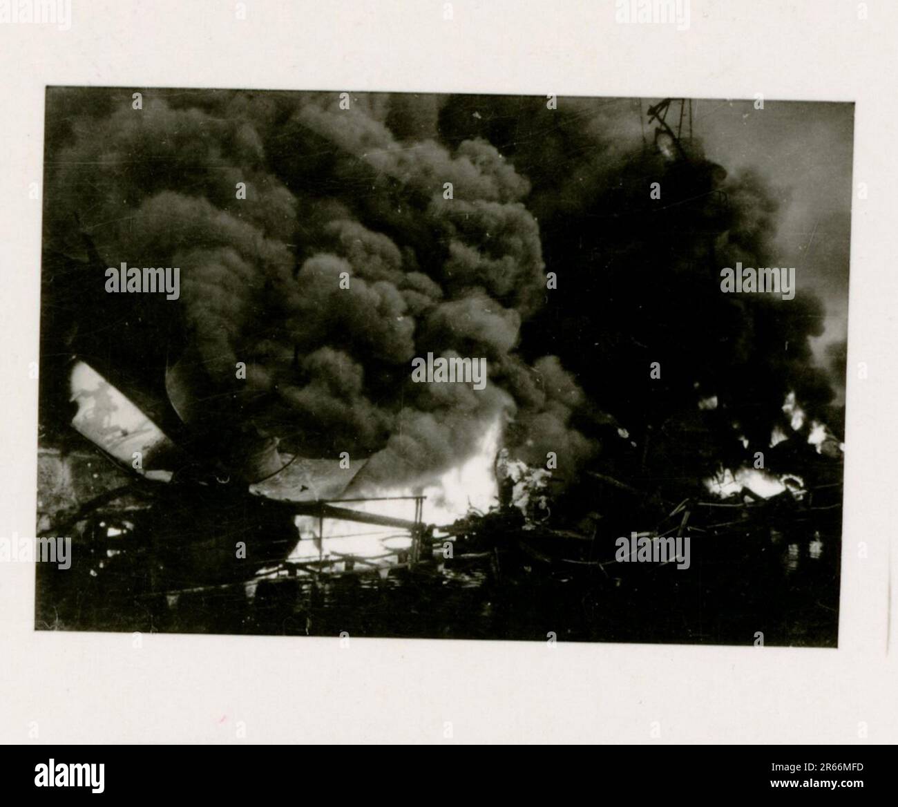 SS Photographer Blaurock, France, Finland 1942-44 SS Soldier portrait ...