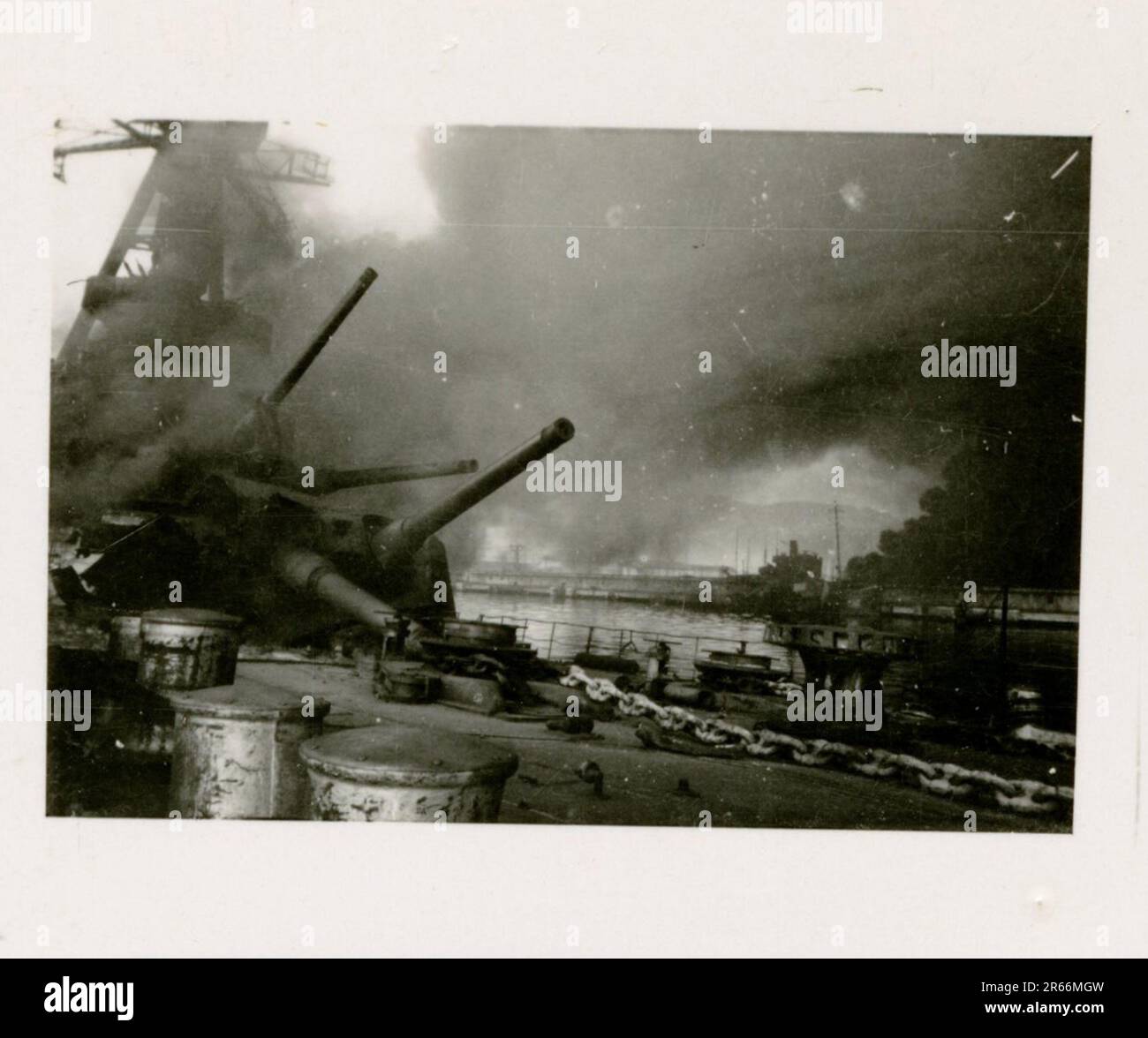 SS Photographer Blaurock, France, Finland 1942-44 SS Soldier portrait ...