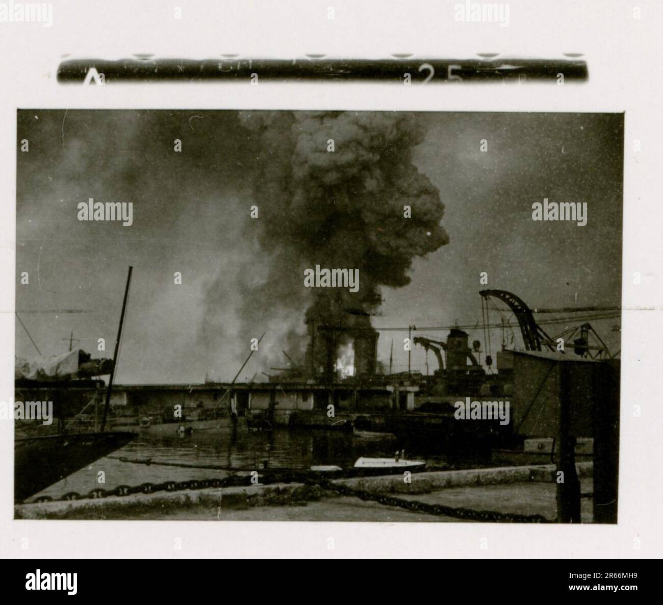 SS Photographer Blaurock, France, Finland 1942-44 SS Soldier portrait ...