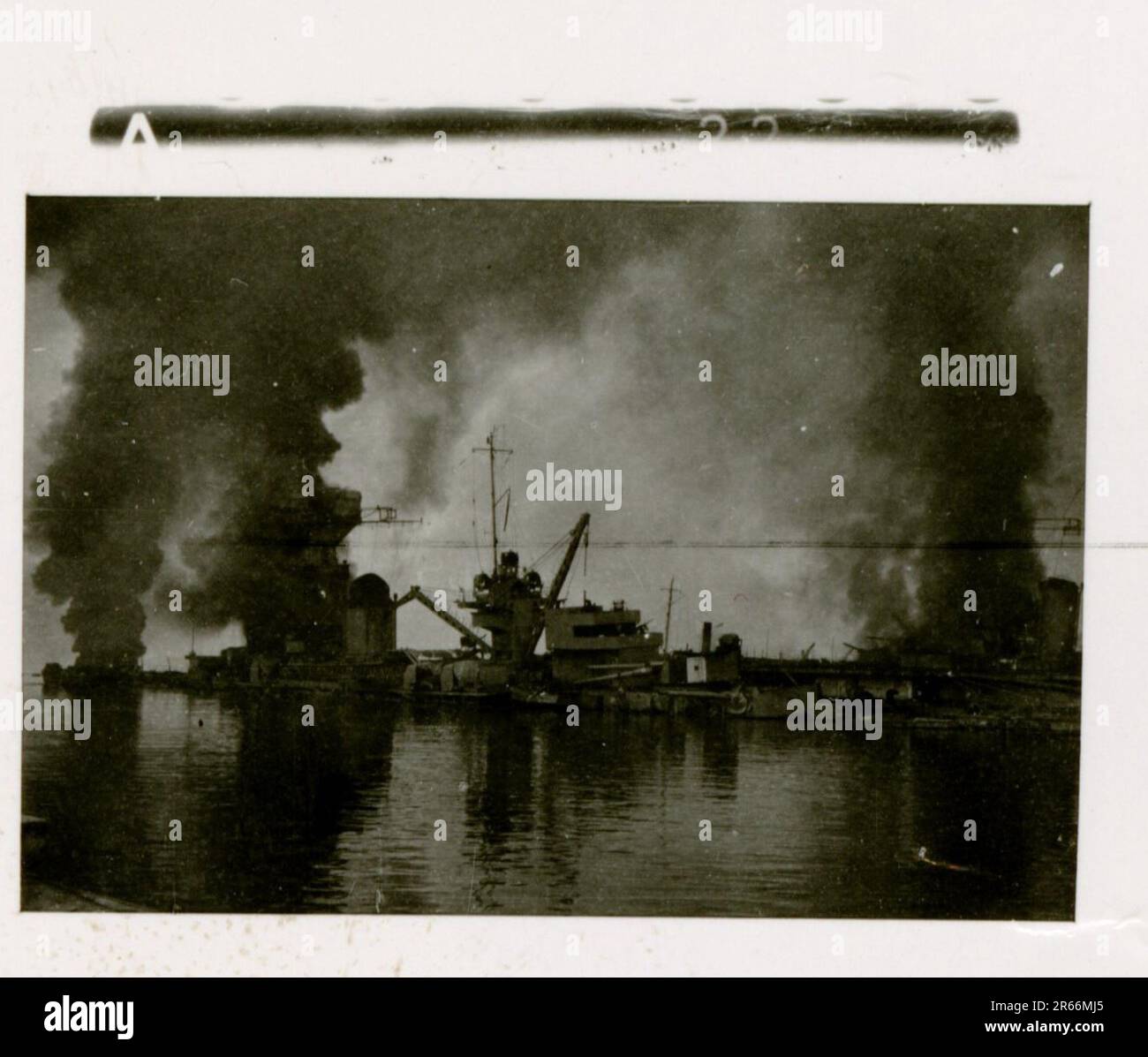 SS Photographer Blaurock, France, Finland 1942-44 SS Soldier portrait ...