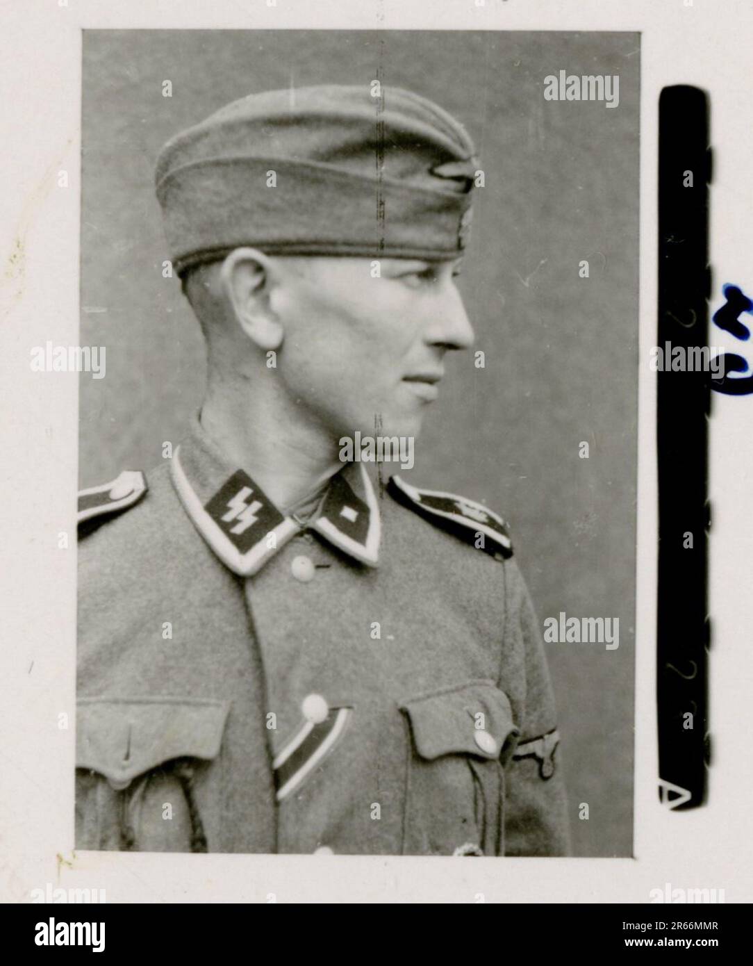 SS Photographer Blaurock, France, Finland 1942-44 SS Soldier portrait ...