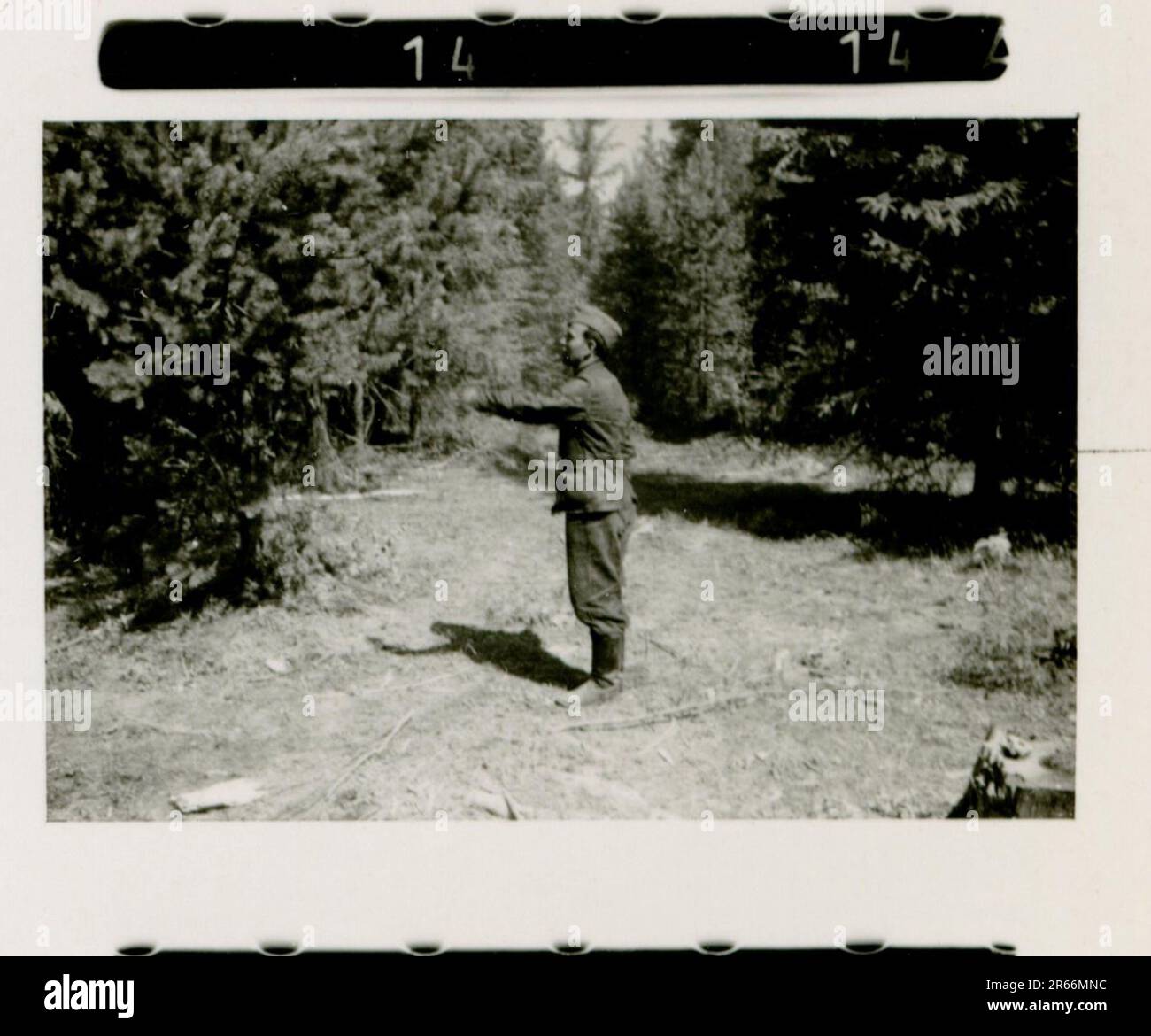 SS Photographer Blaurock, France, Finland 1942-44 SS Soldier portrait ...