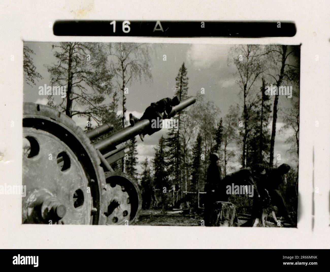 SS Photographer Blaurock, France, Finland 1942-44 SS Soldier portrait ...