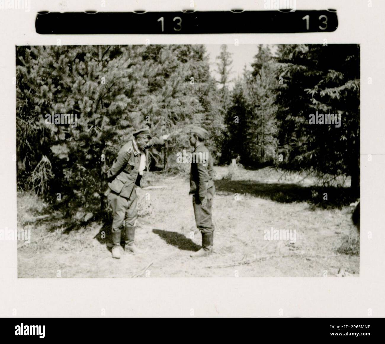 SS Photographer Blaurock, France, Finland 1942-44 SS Soldier portrait ...