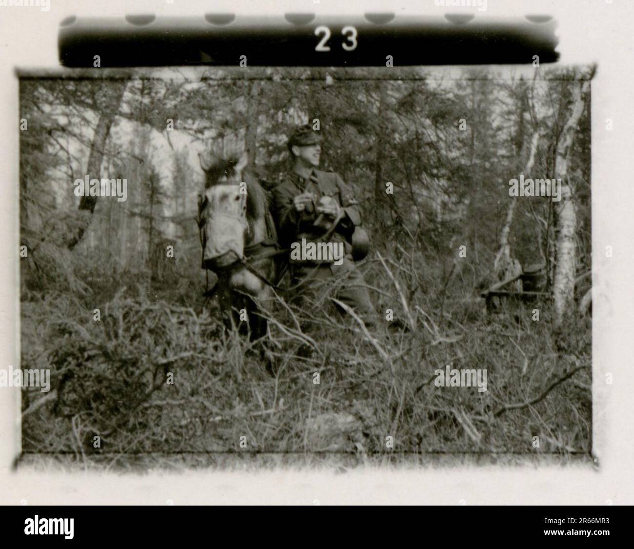 SS Photographer Blaurock, France, Finland 1942-44 SS Soldier portrait ...