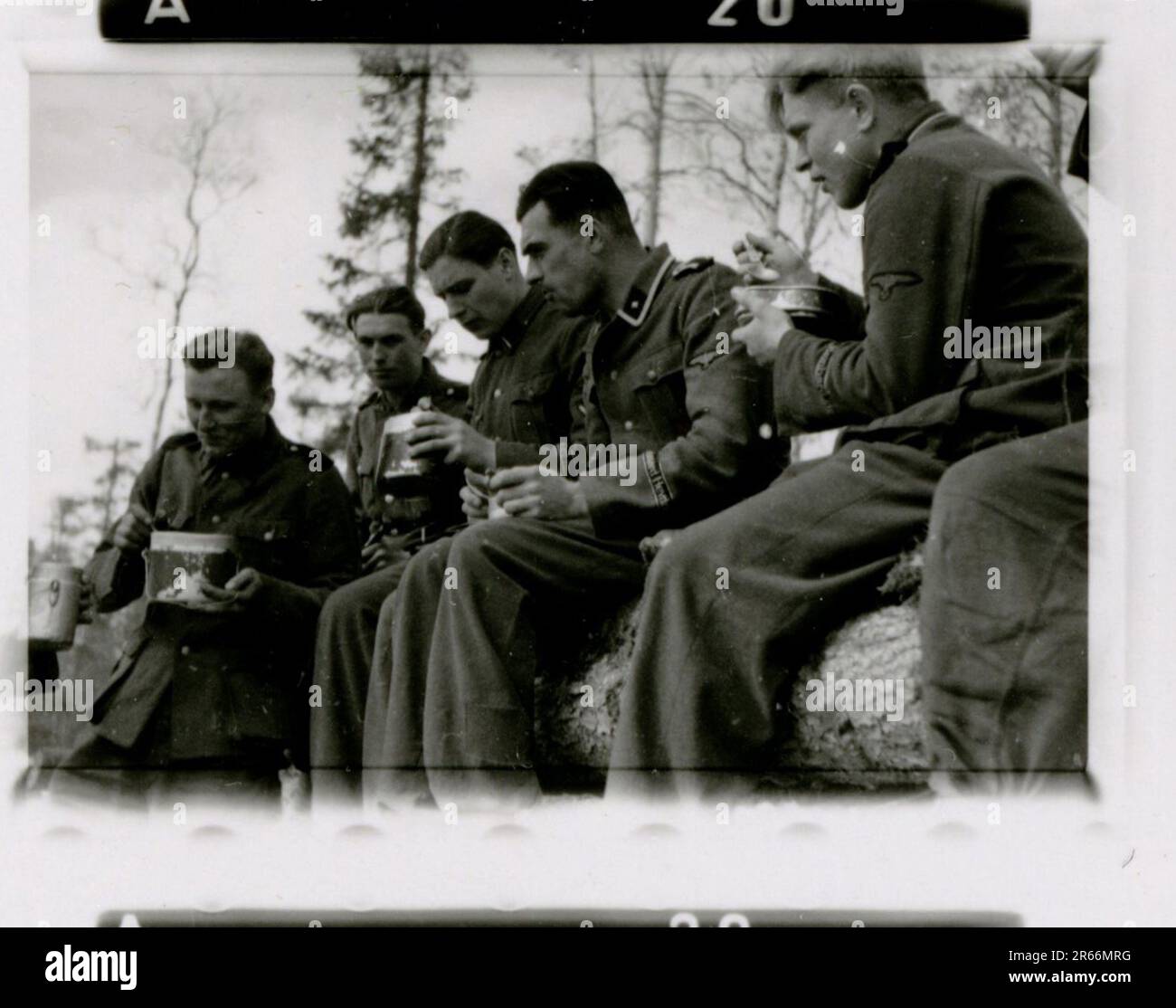SS Photographer Blaurock, France, Finland 1942-44 SS Soldier portrait ...