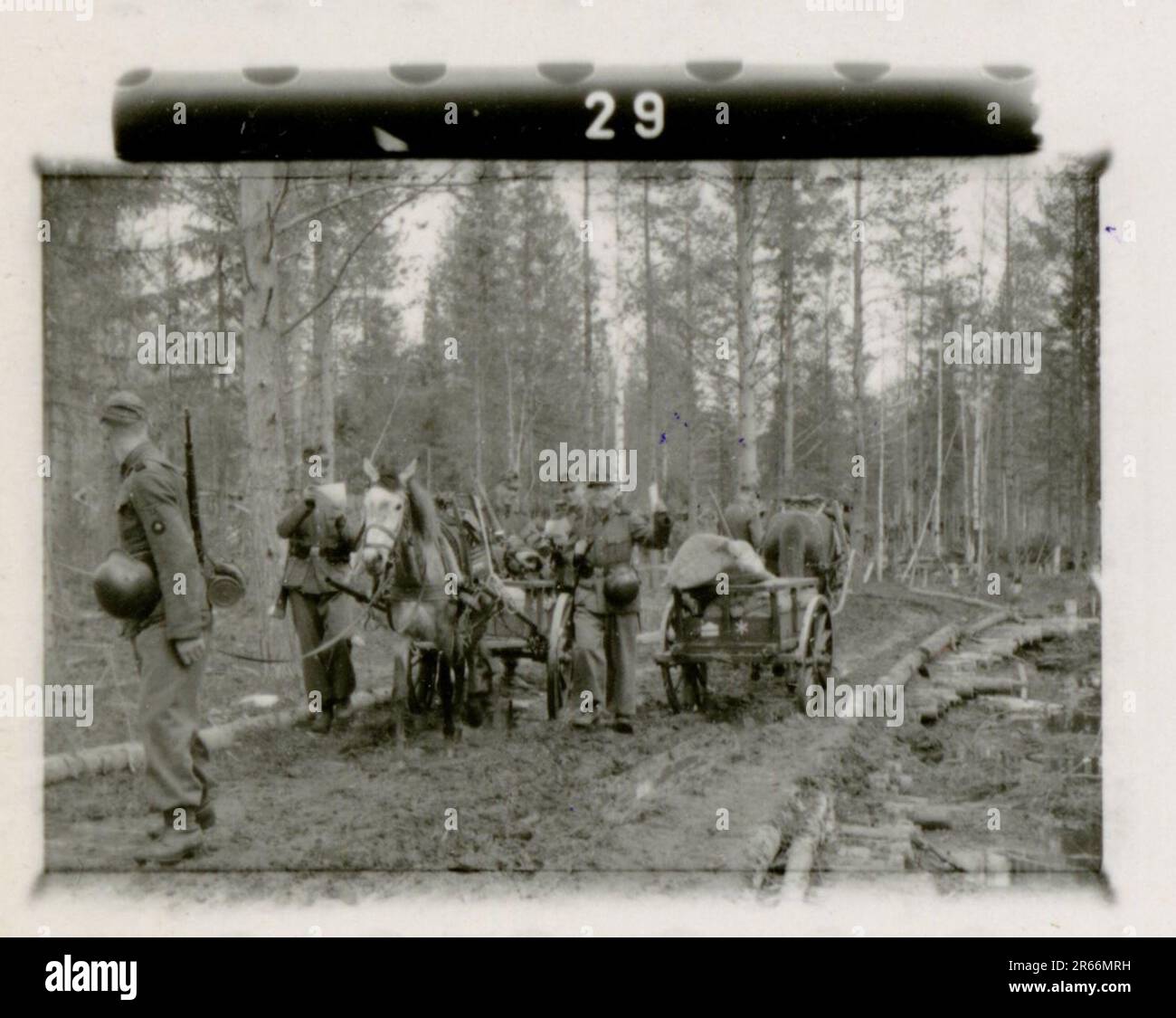 SS Photographer Blaurock, France, Finland 1942-44 SS Soldier portrait ...