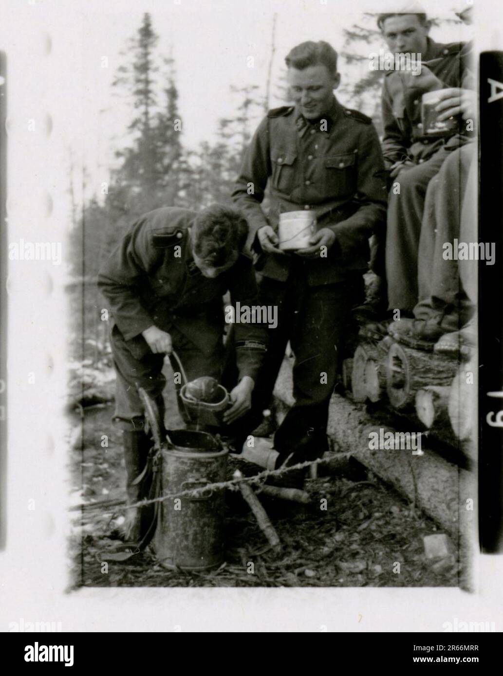 SS Photographer Blaurock, France, Finland 1942-44 SS Soldier portrait ...