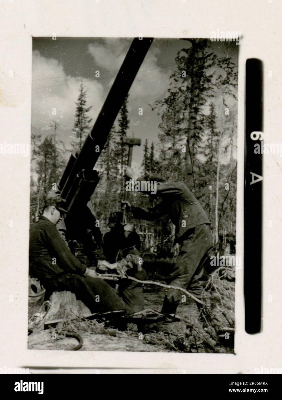 SS Photographer Blaurock, France, Finland 1942-44 SS Soldier portrait ...